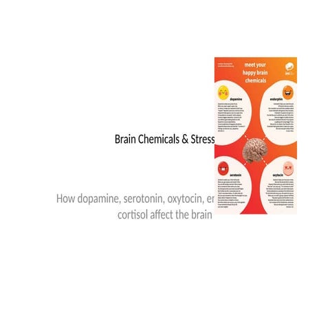 Understanding Brain Chemicals: Dopamine, Serotonin, Oxytocin ...