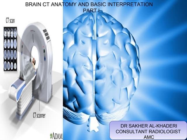 Basic Brain Anatomy | PPTX
