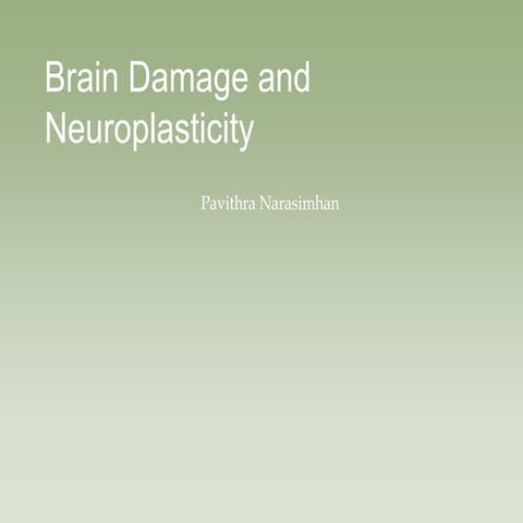 Brain Damage and Neural Plasticity.pptx