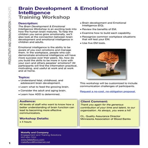 Brain Development and Emotional Intelligence Workshop | PDF
