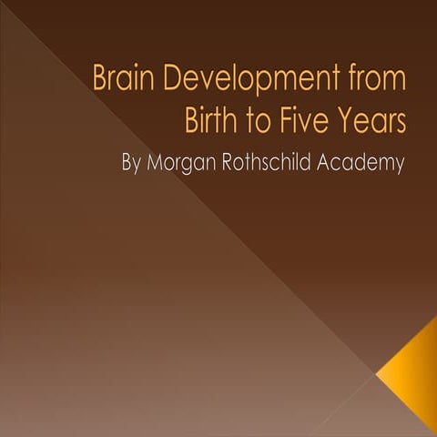 Brain Development from Birth to Five Years | PPT