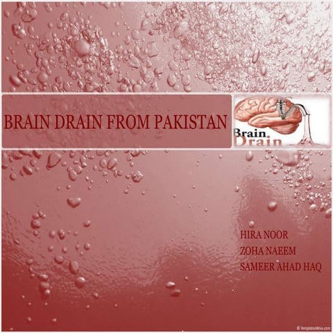 Brain drain | PPTX