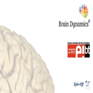 Brain Dynamics services and products | KEY