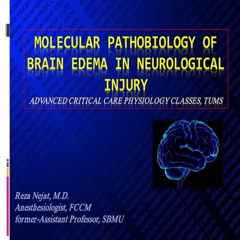 Brain edema23 | PDF