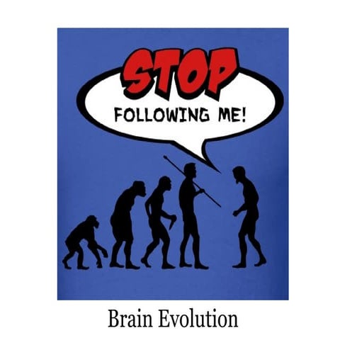 Brain evolution | PPT