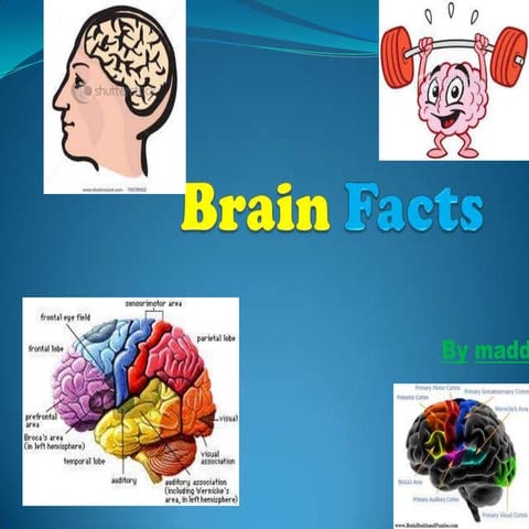 Brain facts | PPTX