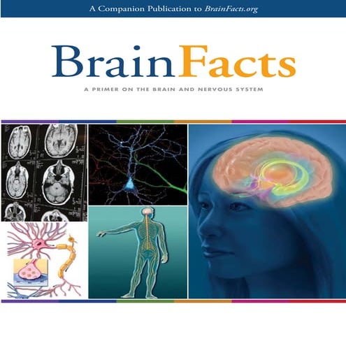 Brain facts book | PDF