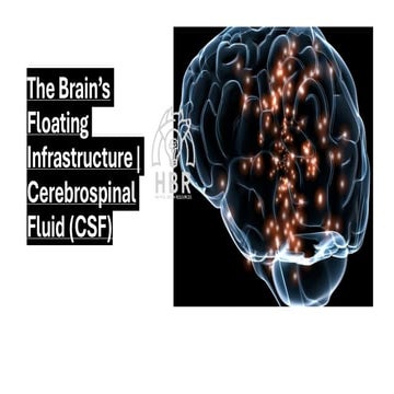 BRAIN INFRASTRUCTURE/ ANATOMY (CSF).pdf:>HBR | PDF
