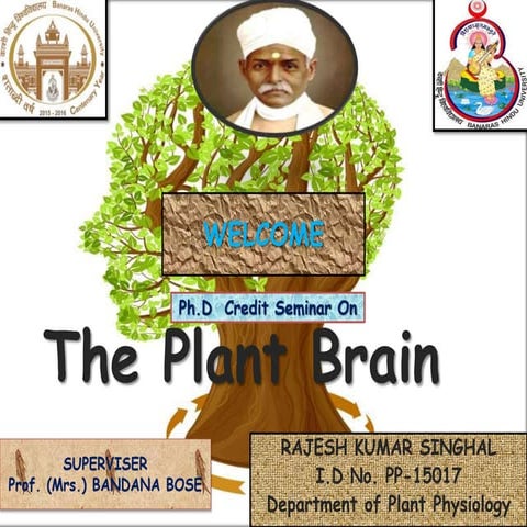 Brain in plant | PPTX