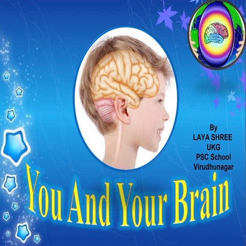 Human Brain | PPT | Brain and Nervous System Disorders | Diseases and ...