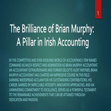 Brian Murphy Accountant: A Stellar Career as a Former Deloitte Audit ...