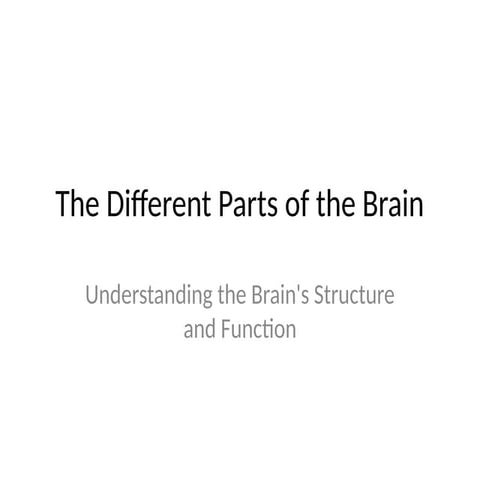 The different parts of the brain and its function. | PPTX