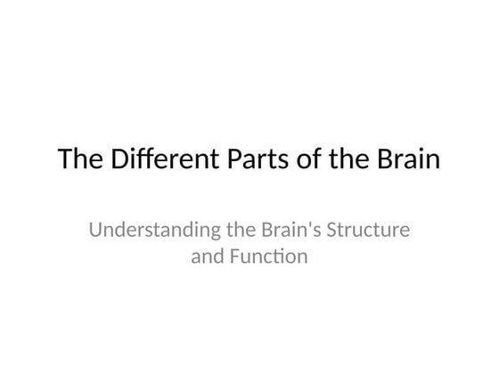 The Human Brain, Its Parts and Functions | PPTX | Brain and Nervous ...