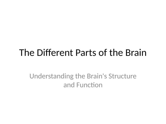 The Human Brain, Its Parts and Functions | PPTX