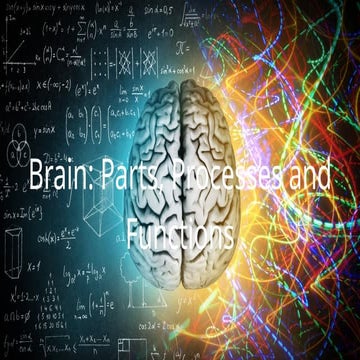 Brain Parts, Processes and Functions.pptx