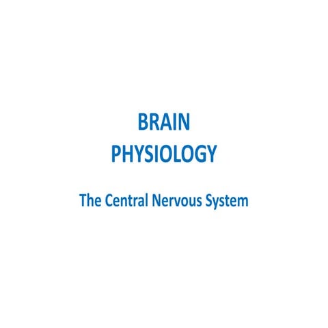 Brain Physiology.ppt (the central nervous system) | PPT