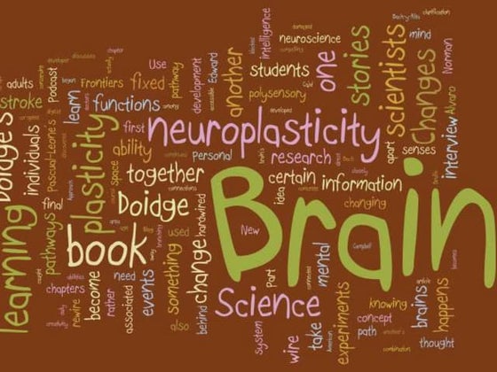 Comparing brain images | PDF