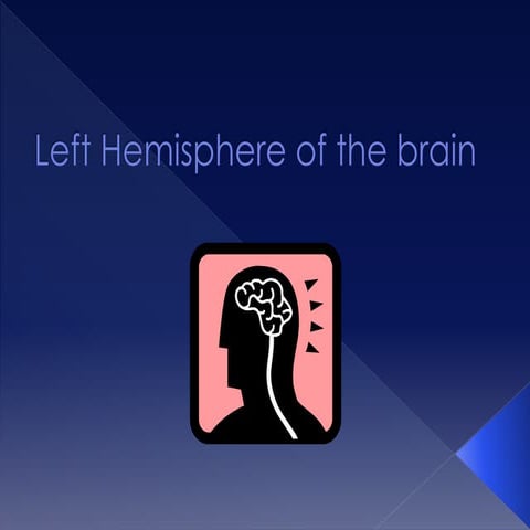 Left Hemisphere of the Brain | PPTX