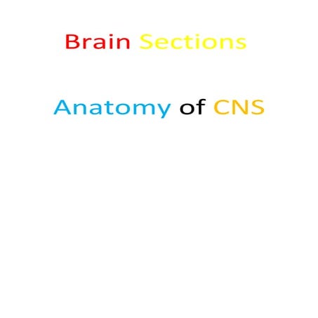 Labelled Brain sections | PDF