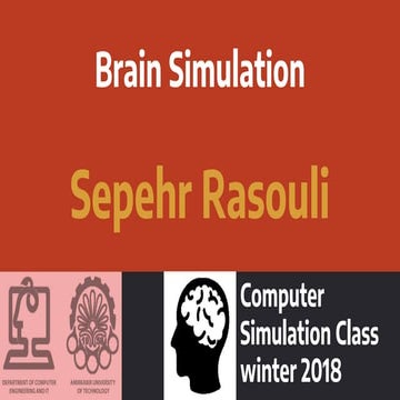 Brain simulation | PDF
