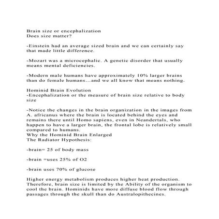 Brain size or encephalizationDoes size matter-Einstein had .docx