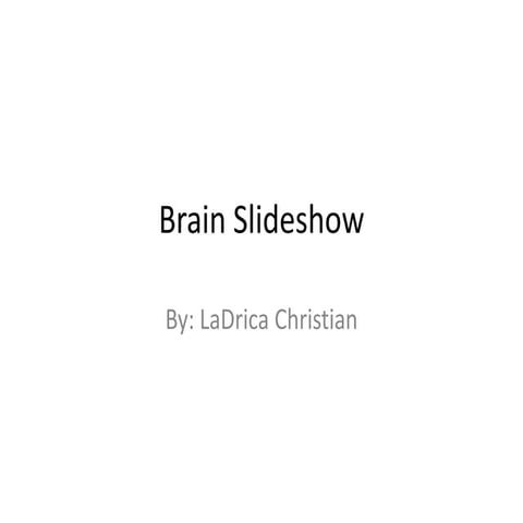 Brain slideshow | PPTX