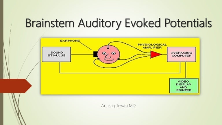 Brainstem Auditory Evoked Potentials