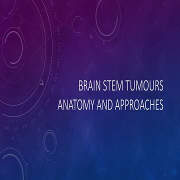 Brain stem surgical anatomy and approaches | PPTX