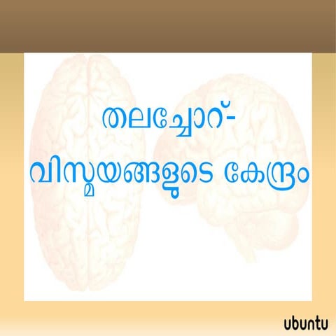 Brain structure | PPT