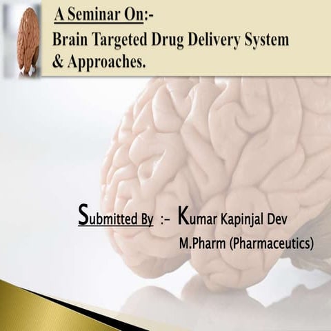 Brain targeting By kapinjal Dev | PPTX