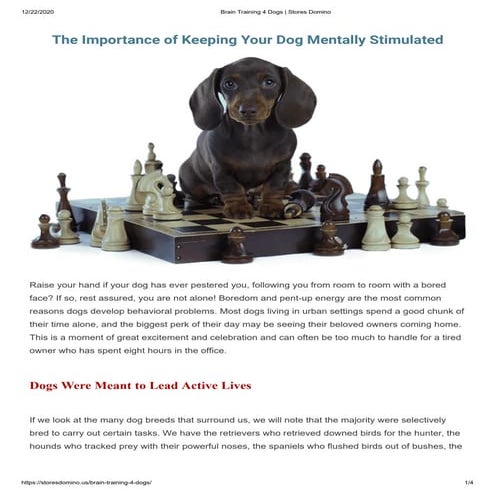 Brain training 4 dogs | PDF