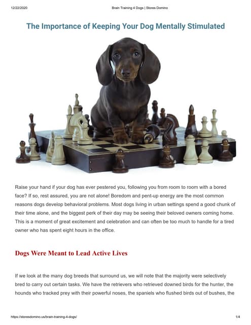 Complete Pet - Lesson 6 | PPT