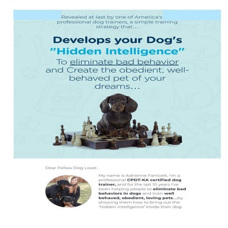 Brain training for dogs unique dog training course! easy sell! (view ...