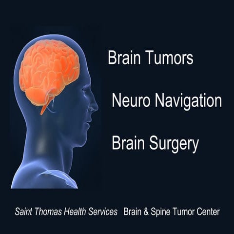 Brainlab Ultrasound Integration Flyer | PDF