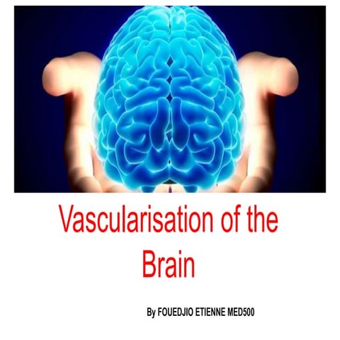Brain vascularisation | PPTX