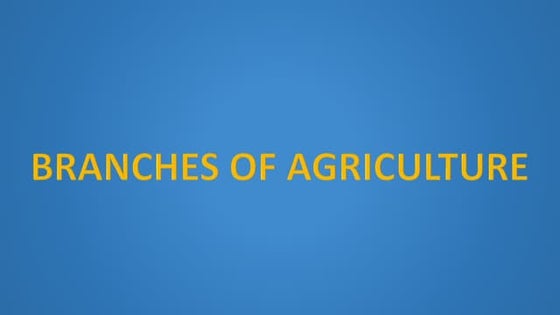The Four Main Branches of Agriculture.pptx | Agriculture | Industries