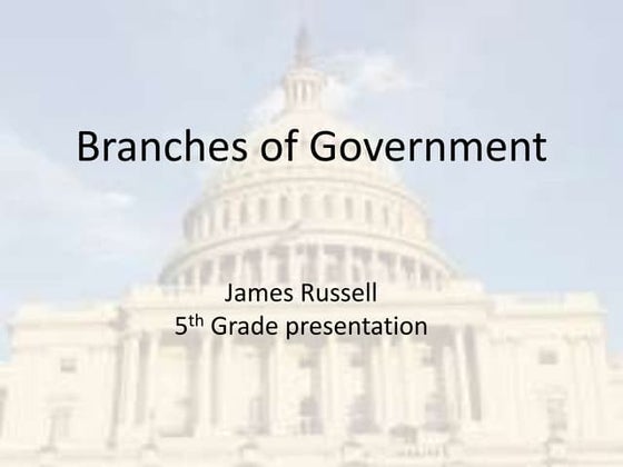 The Three Branches of Government by Anand | PPTX | Civic affairs | Politics