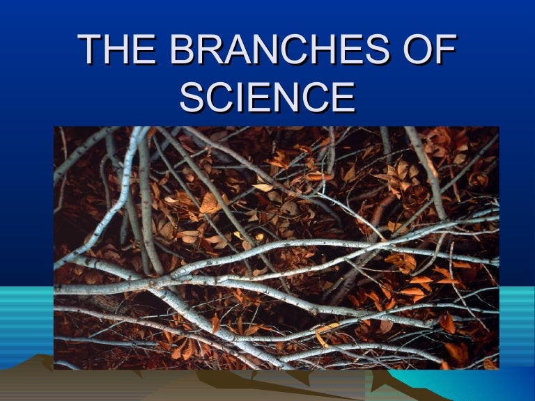 Branches of science