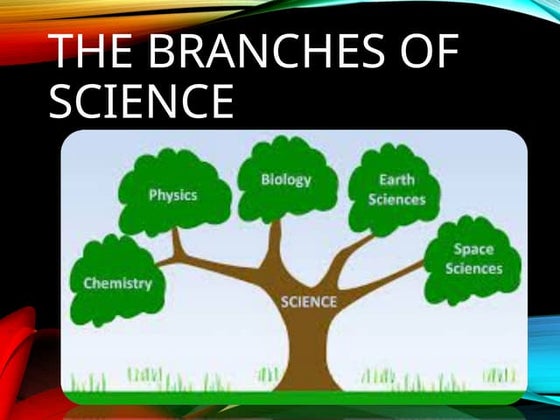 Branches of science | PPTX | Science