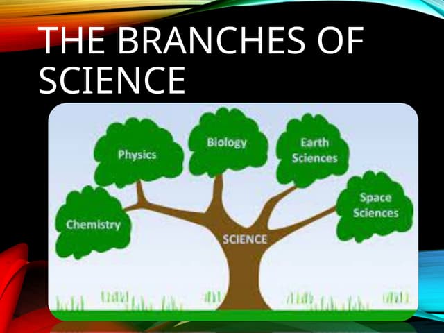 Branches of science | PPTX