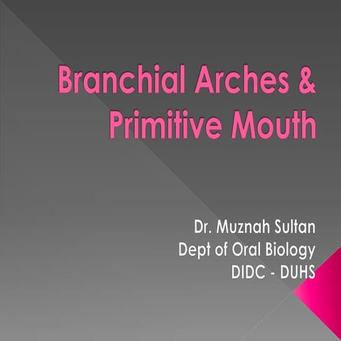 Branchial arches & primitive mouth (dcp) | PPTX