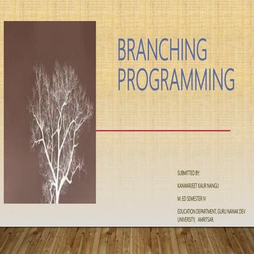 Branching Programming With Frames Ppt 3333