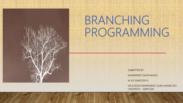 Branching Programming With Frames Ppt 3333