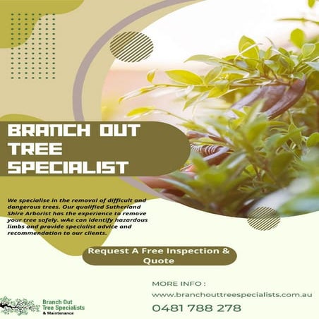 Tree Pruning Sydney | PDF