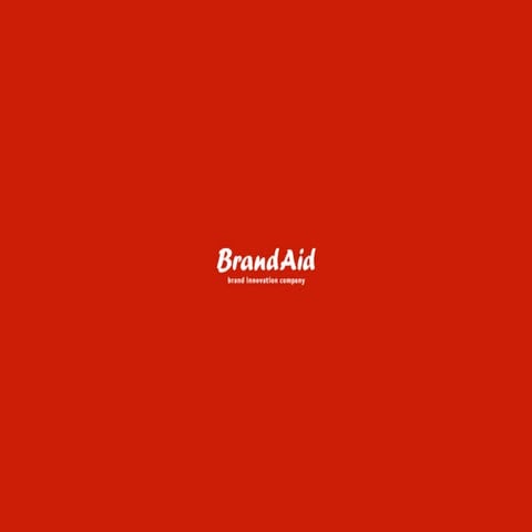 BrandAid presentation 2009 | PDF