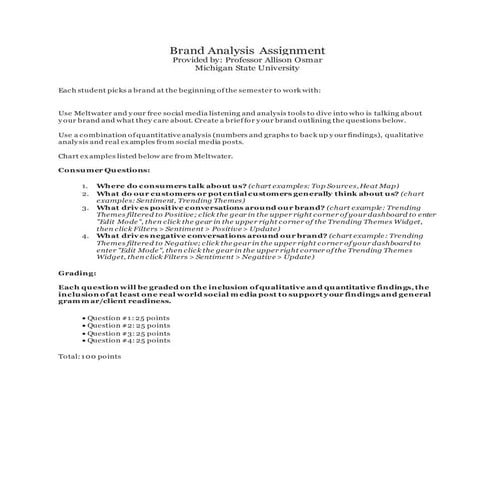 Brand Analysis Assignment | DOCX