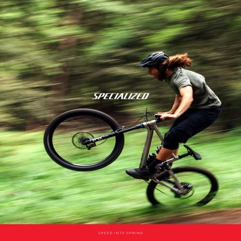 Brand Catalog Spring | PDF