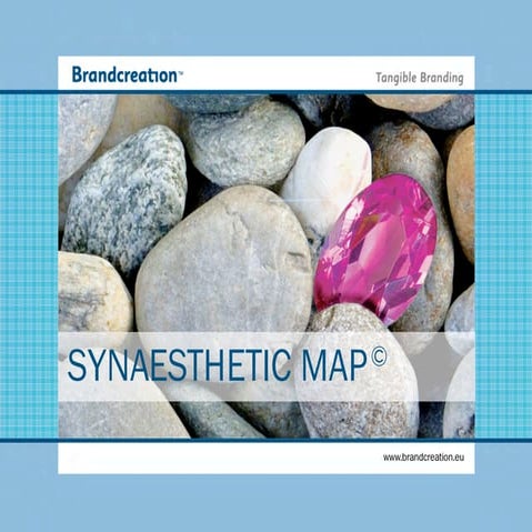 Synaesthetic Maps© by Brandcreation | PDF