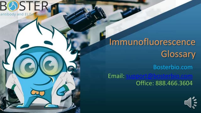 Immunofluorescence | PPT