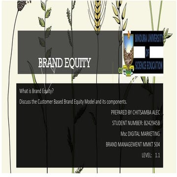 Brand Equity and loyalty Presentation.pptx